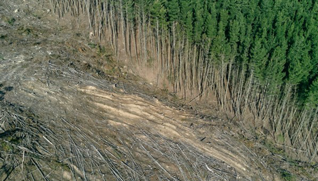 Subsidising Deforestation - IJ4EU